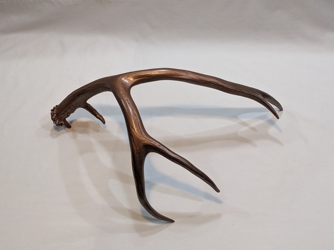 Large Copper Mule Deer 4 Point Antler Shed - Etsy