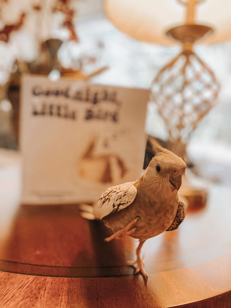 Childrens Book Goodnight Little Bird Baby Gift Animal - Etsy