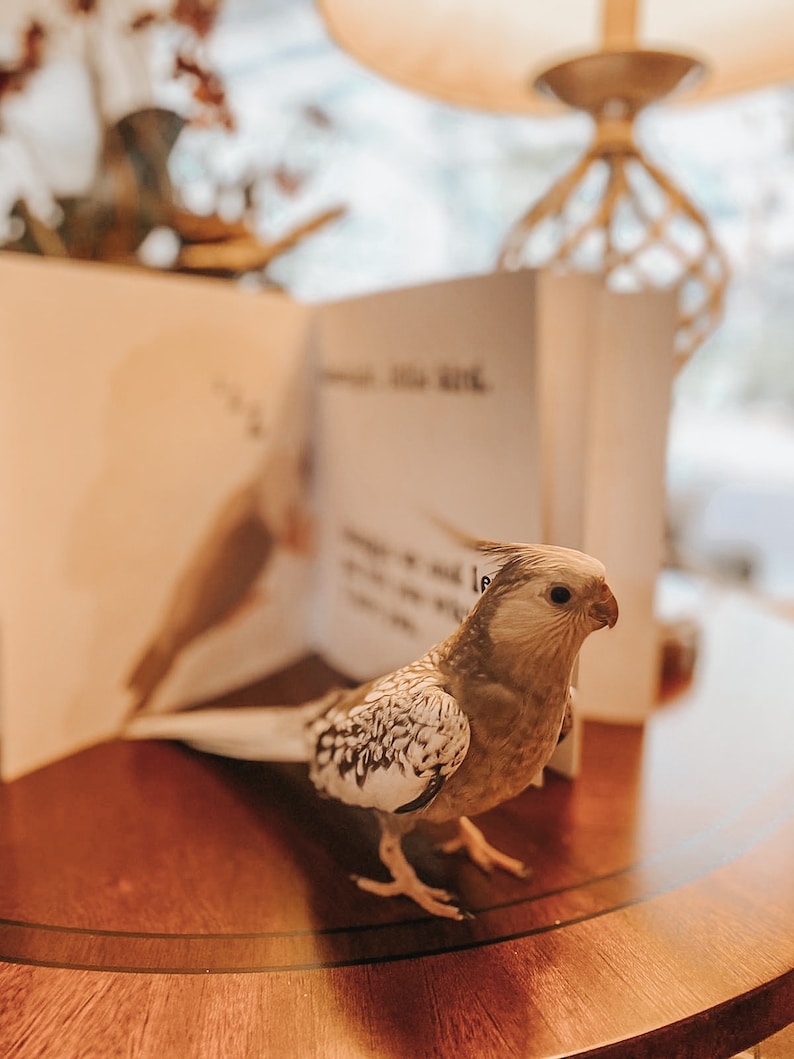 Childrens Book Goodnight Little Bird Baby Gift Animal | Etsy