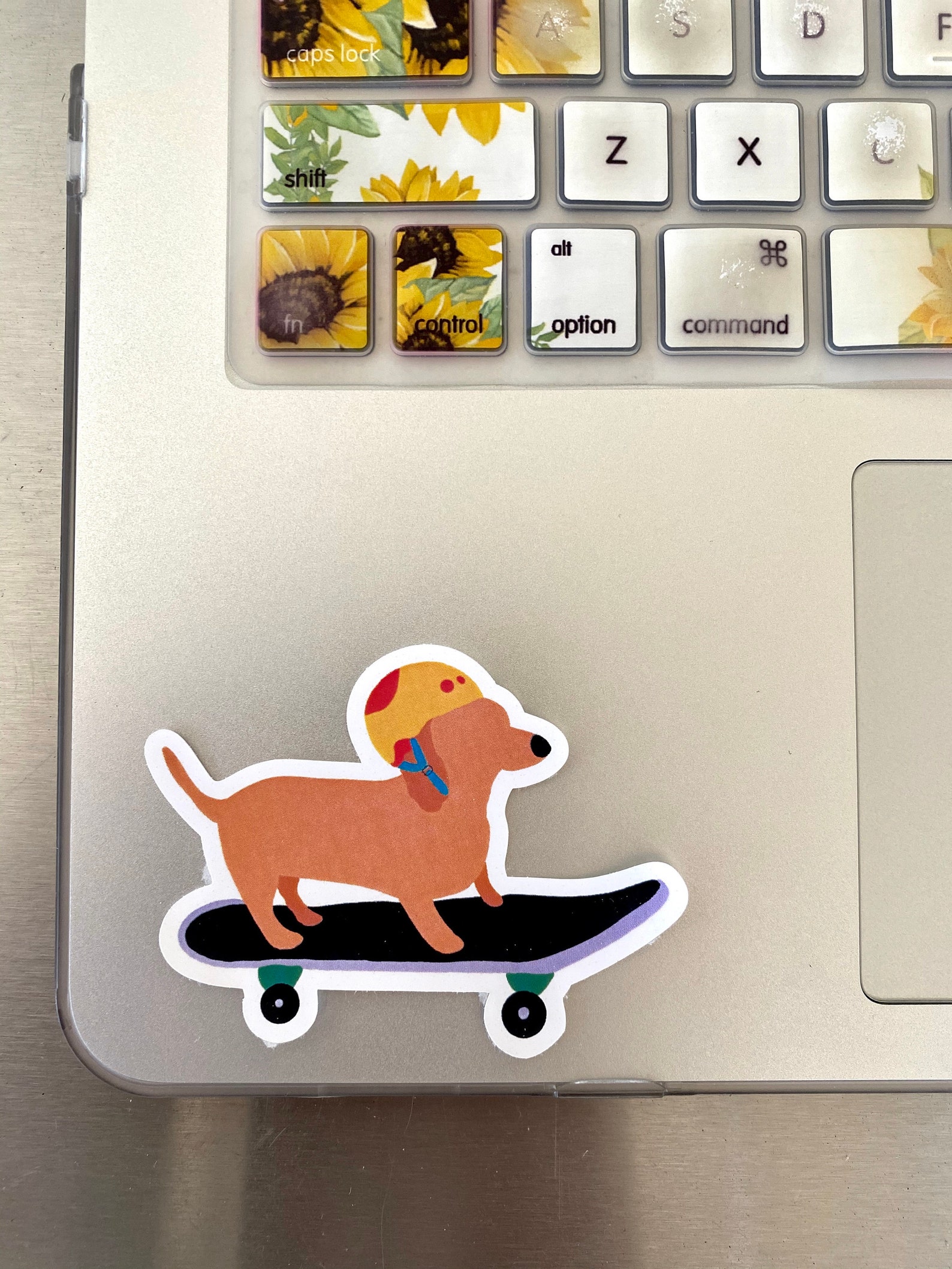 Dog on a Skateboard | Dachshund Sticker | Dog Sticker | Skateboard ...