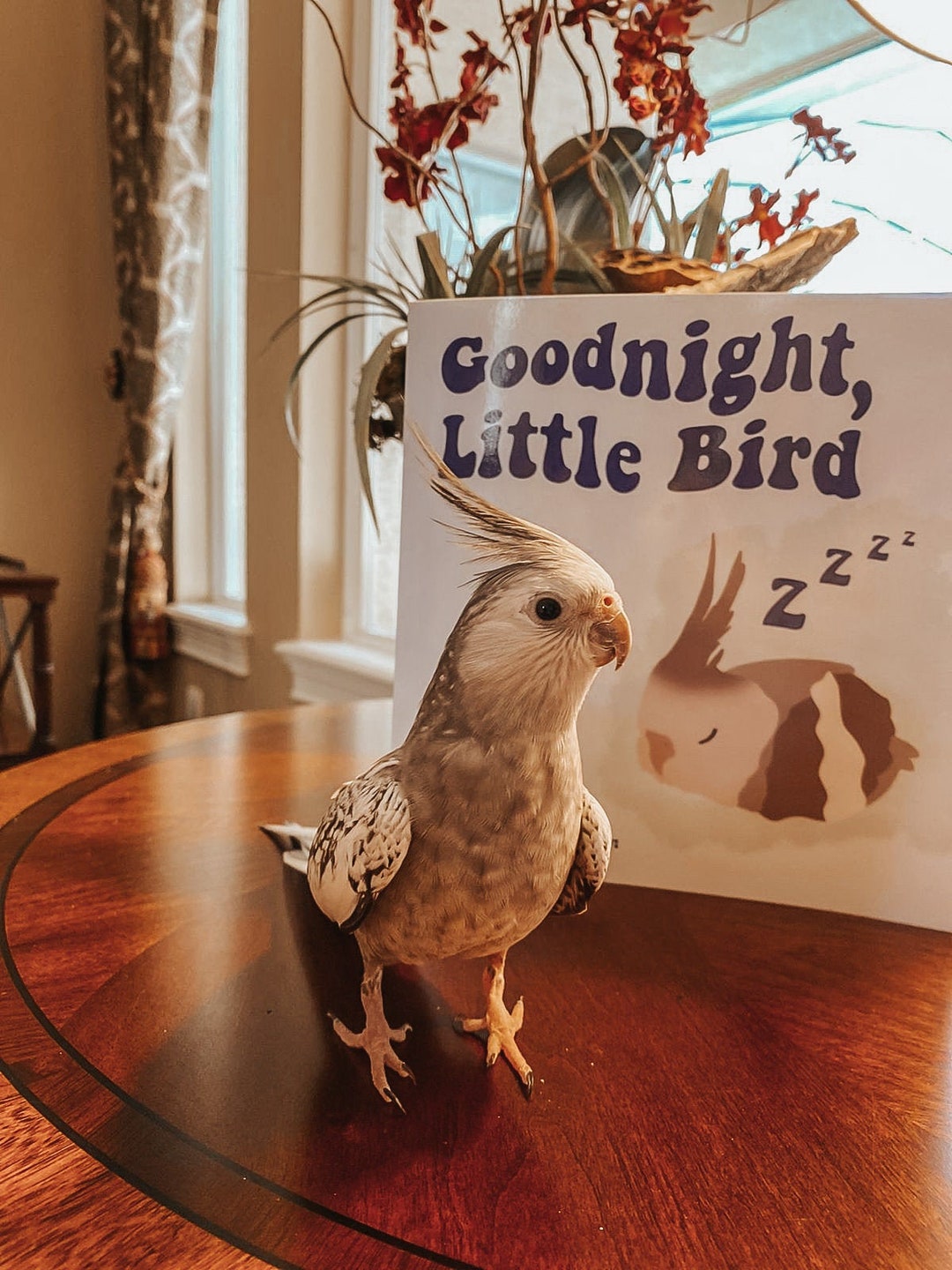 Childrens Book | Goodnight, Little Bird | Baby Gift | Animal Book | Mom ...