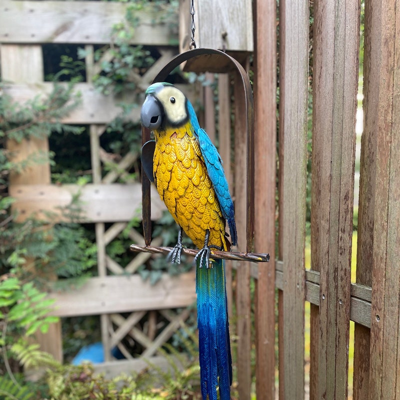 Parrot Outdoor Decor - Etsy