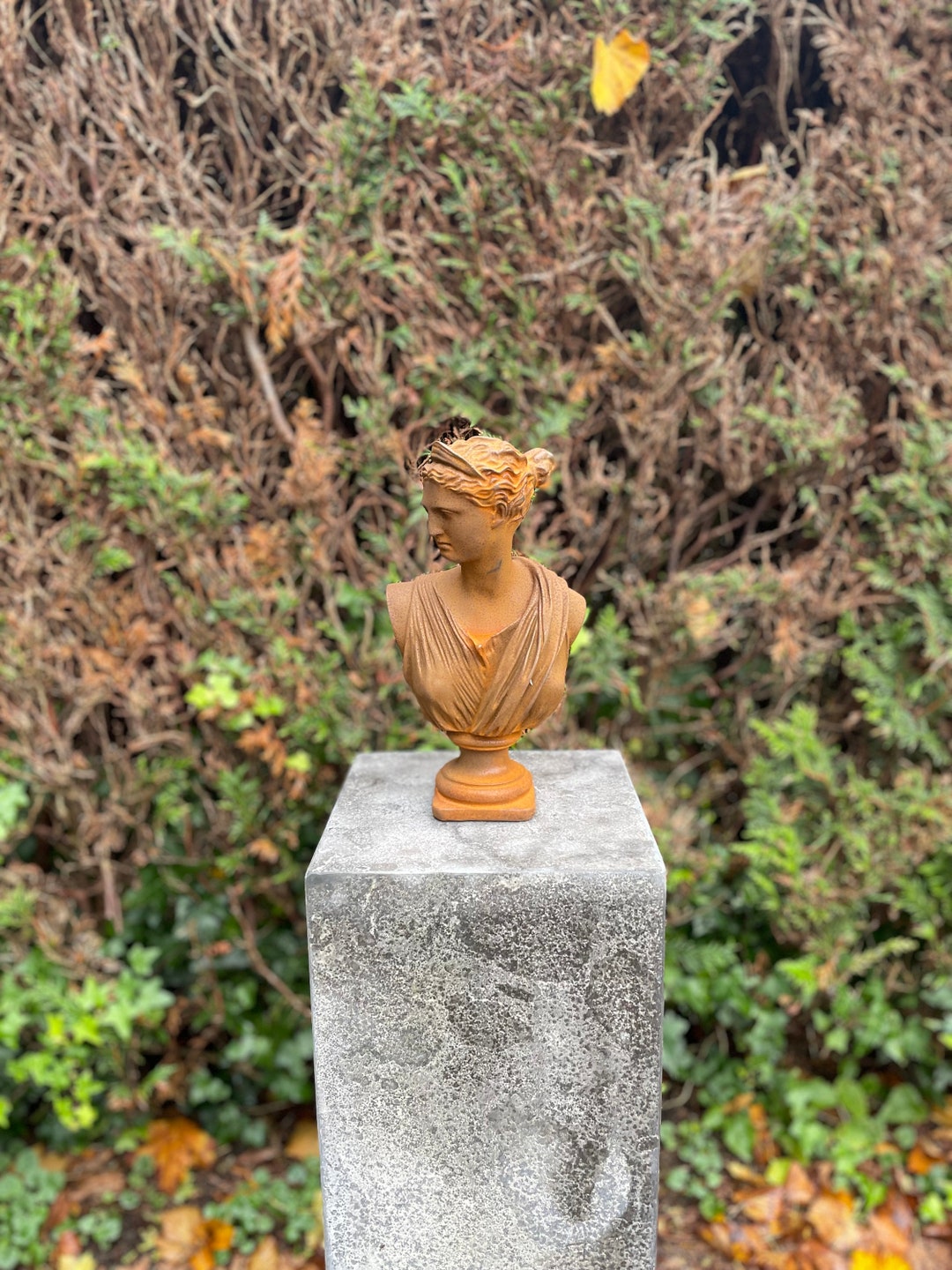 Rusty Cast Iron Bust Venus Sculpture Interior Office Garden Decoration ...