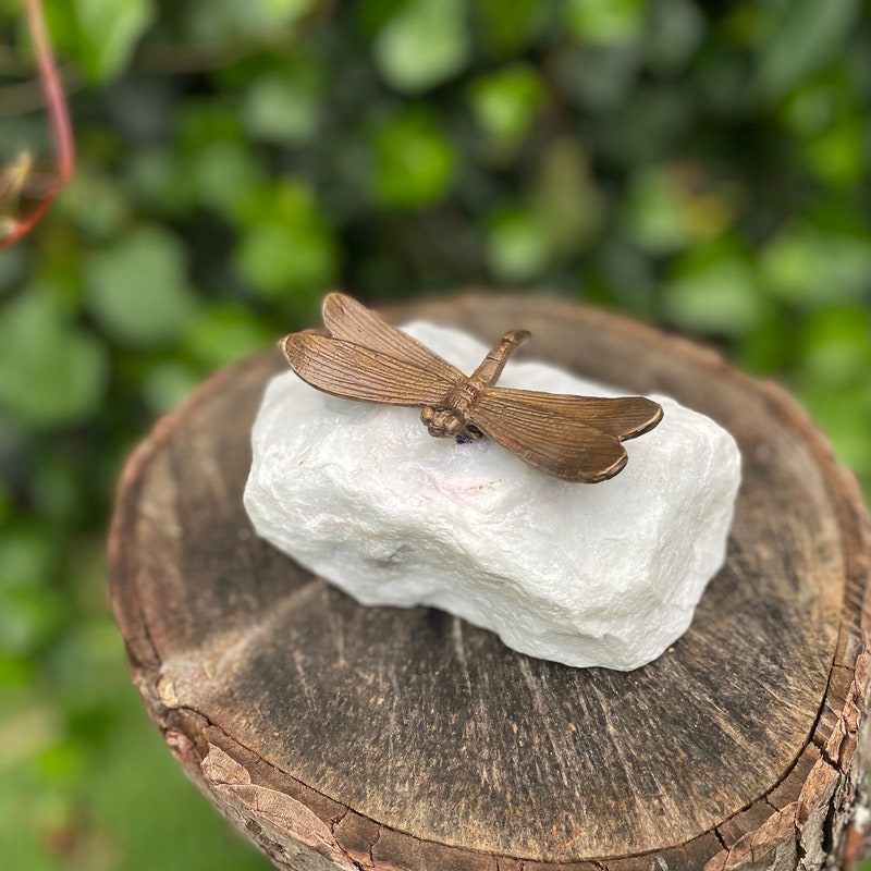 Stone Dragonfly - Etsy