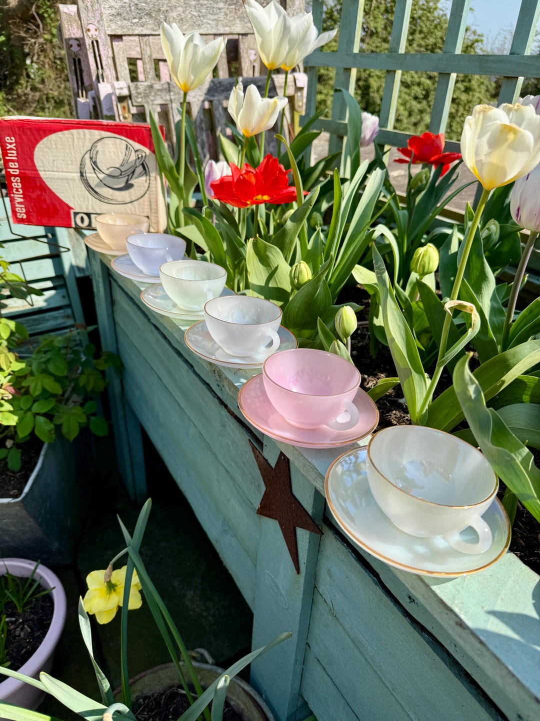 Vintage French Arcopal Opale Set of 6 Multi Coloured Pastel Tea Cups ...