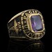 Western Governors University,class Ring,personalized School College ...