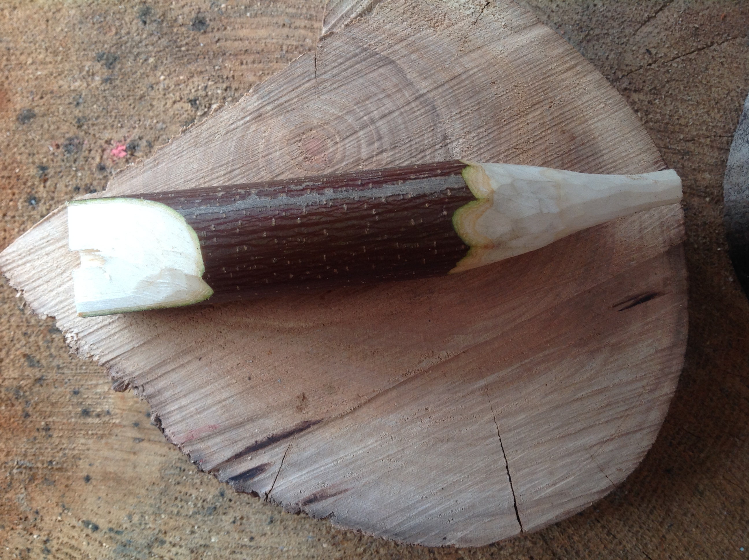 Hand Carved Maple Tapping Spiles - Etsy