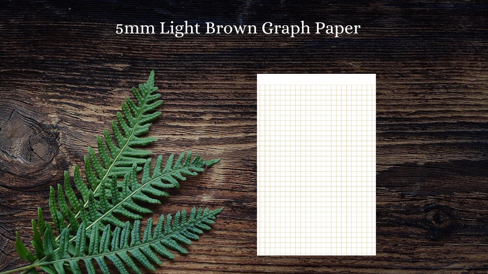 5mm Light Brown Graph Ruled Paper - Etsy