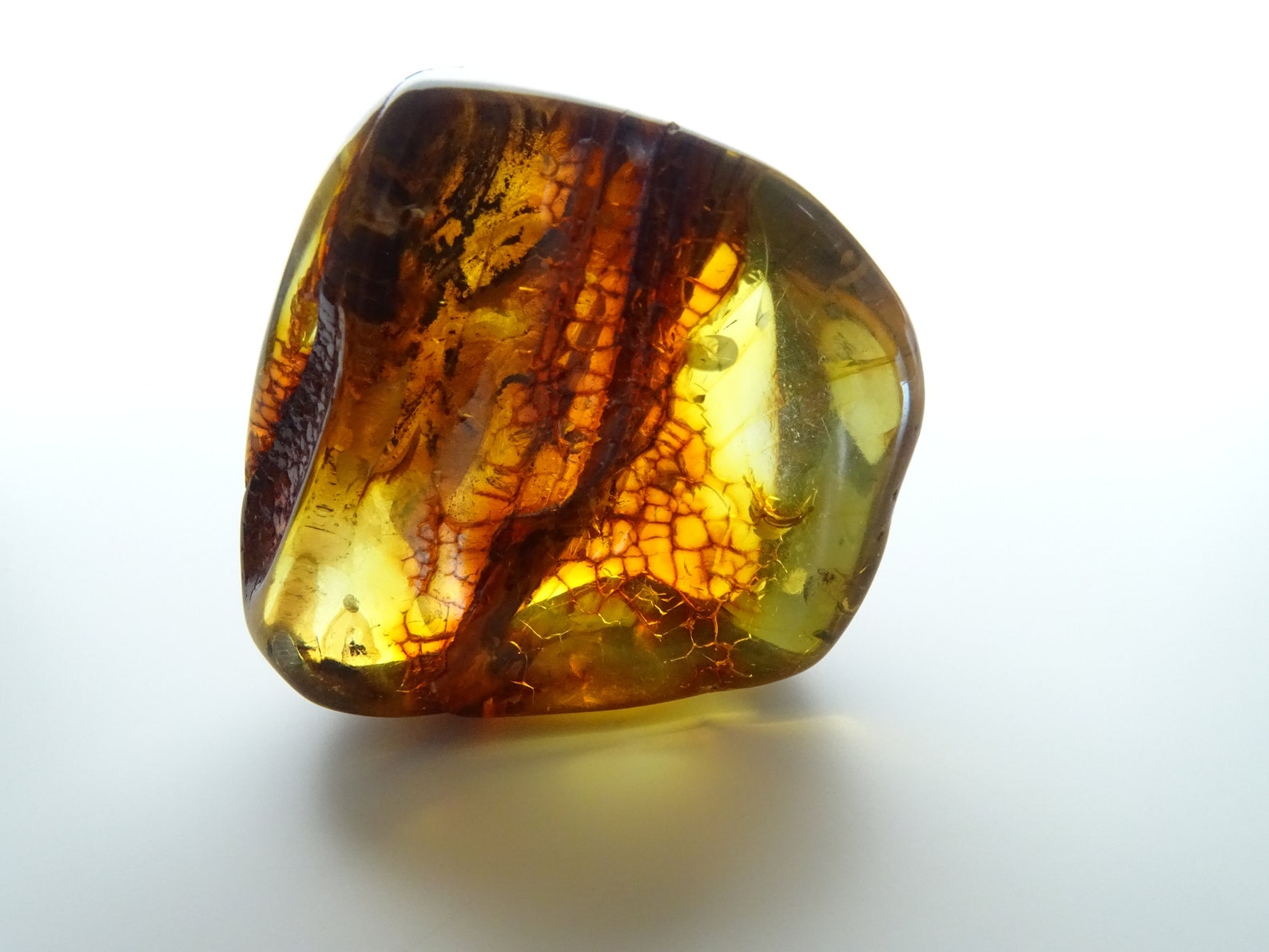 Baltic Amber Natural Genuine Raw Natural Gemstone Healing - Etsy