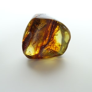Baltic Amber Natural Genuine Raw Natural Gemstone Healing - Etsy