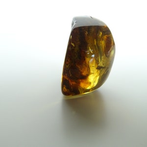 Baltic Amber Natural Genuine Raw Natural Gemstone Healing - Etsy