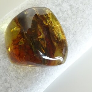 Baltic Amber Natural Genuine Raw Natural Gemstone Healing - Etsy