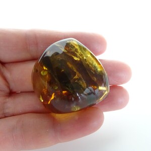 Baltic Amber Natural Genuine Raw Natural Gemstone Healing - Etsy