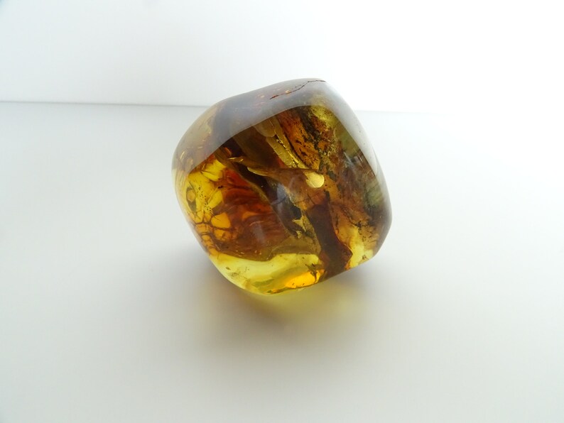 Baltic Amber Natural Genuine Raw Natural Gemstone Healing - Etsy