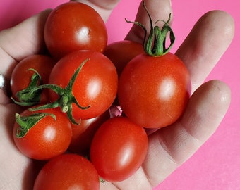 Super Sweet 100 | Etsy