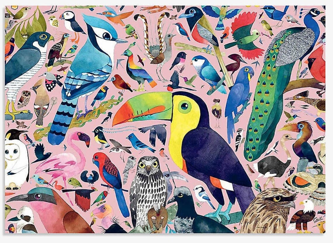 Ravensburger Amazing Birds 1000 Piece Puzzle - Brand New Sealed - Fast ...