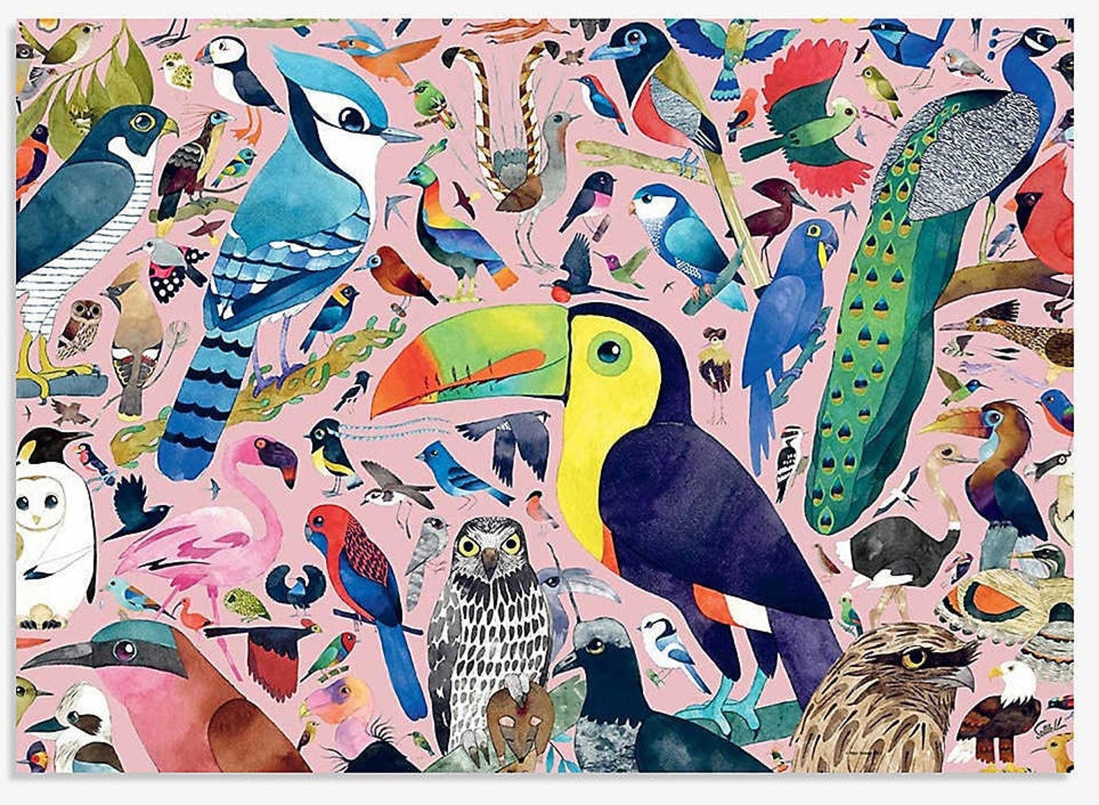 Ravensburger Amazing Birds 1000 Piece Puzzle - Brand New Sealed - Fast ...
