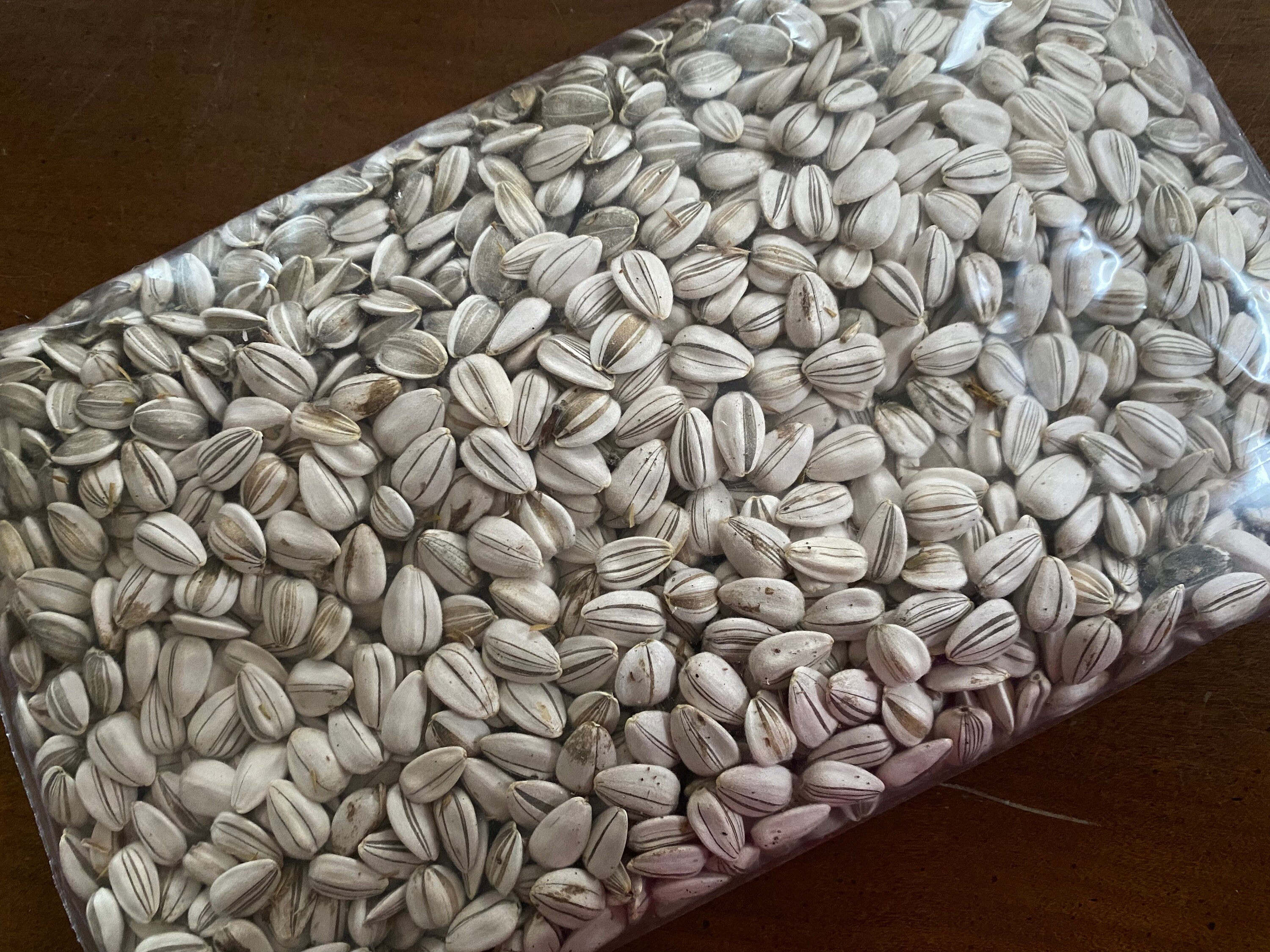 Sunflowers Mammoth Grey Stripe Seeds & Other Seeds (organic) - Etsy