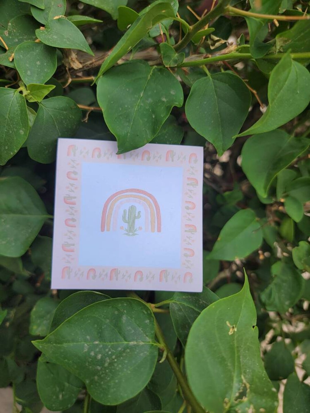 Cactus Shine Sticky Notes, Cute Stationary, Memo Pad, Note Pad, Office ...