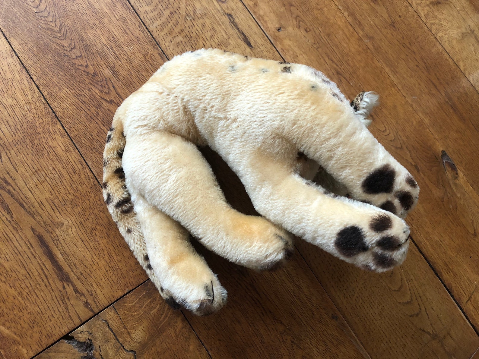 Vintage Steiff Leopard from the 1950s | Etsy