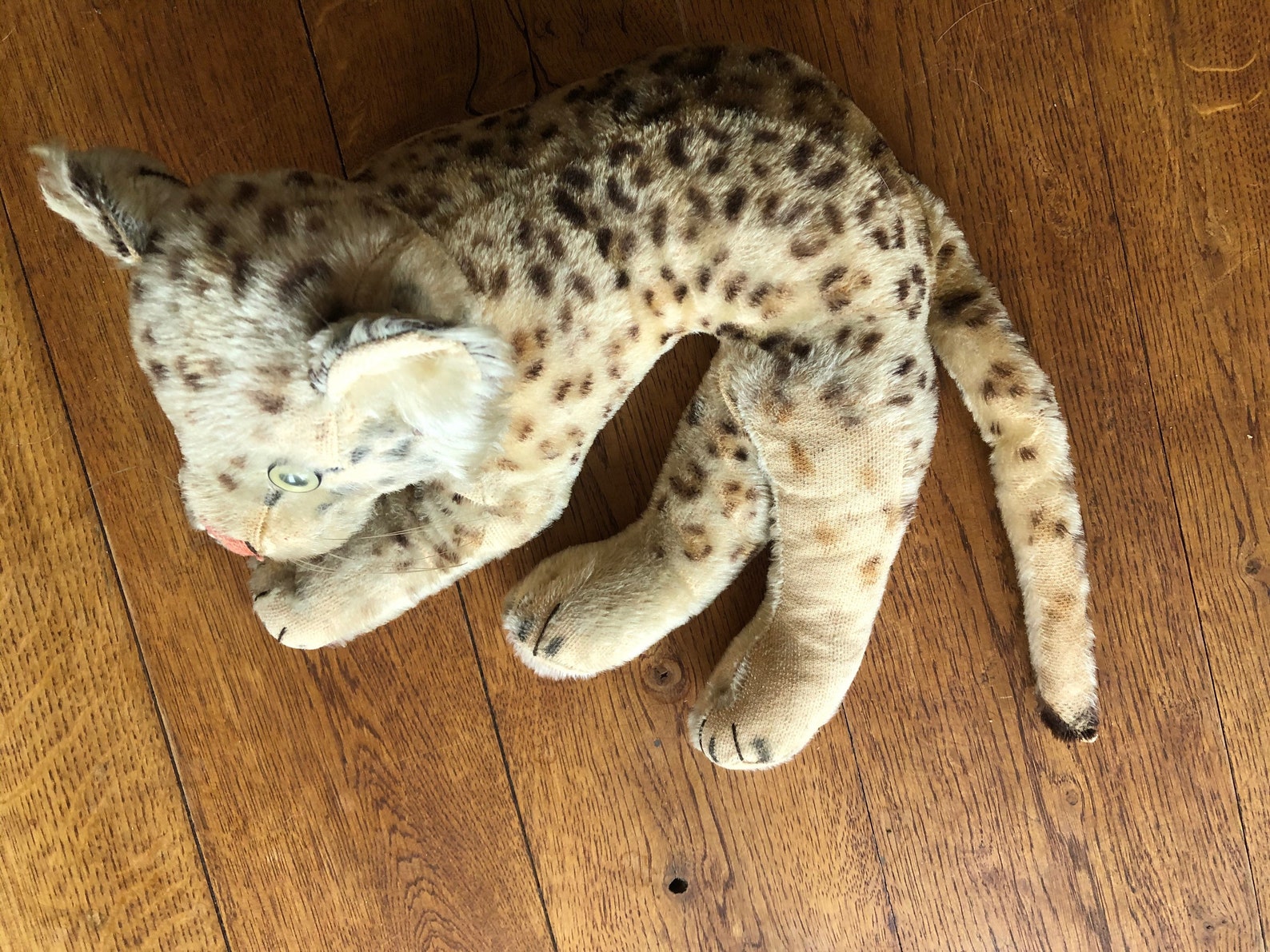 Vintage Steiff Leopard from the 1950s | Etsy