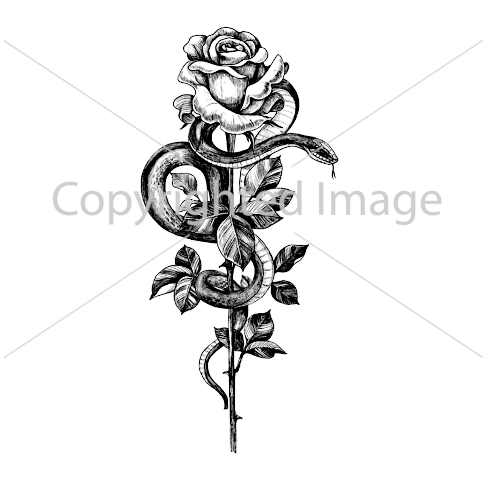 Tattoo Design Rose With Snake Download - Etsy