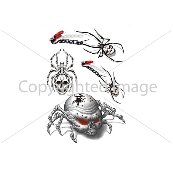 Skull Spider Tattoos