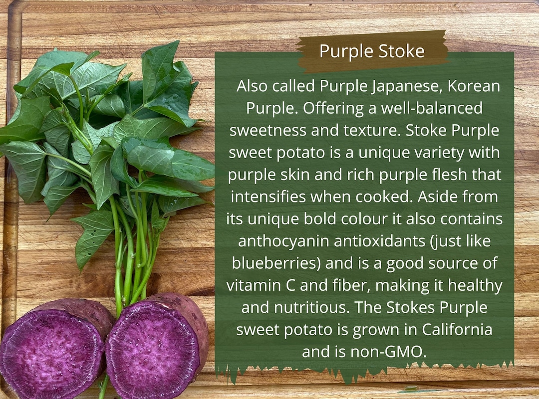 5x Rooted Purple Stoke Sweet Potato Cuttings - Etsy