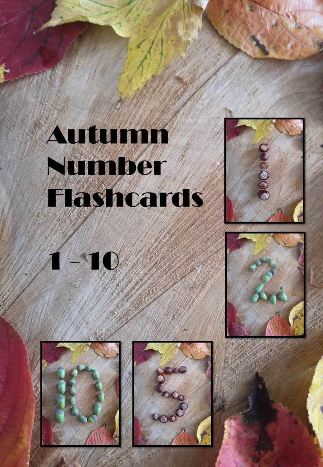 Autumn Nature Number Flashcards 1-10 - Etsy Norway