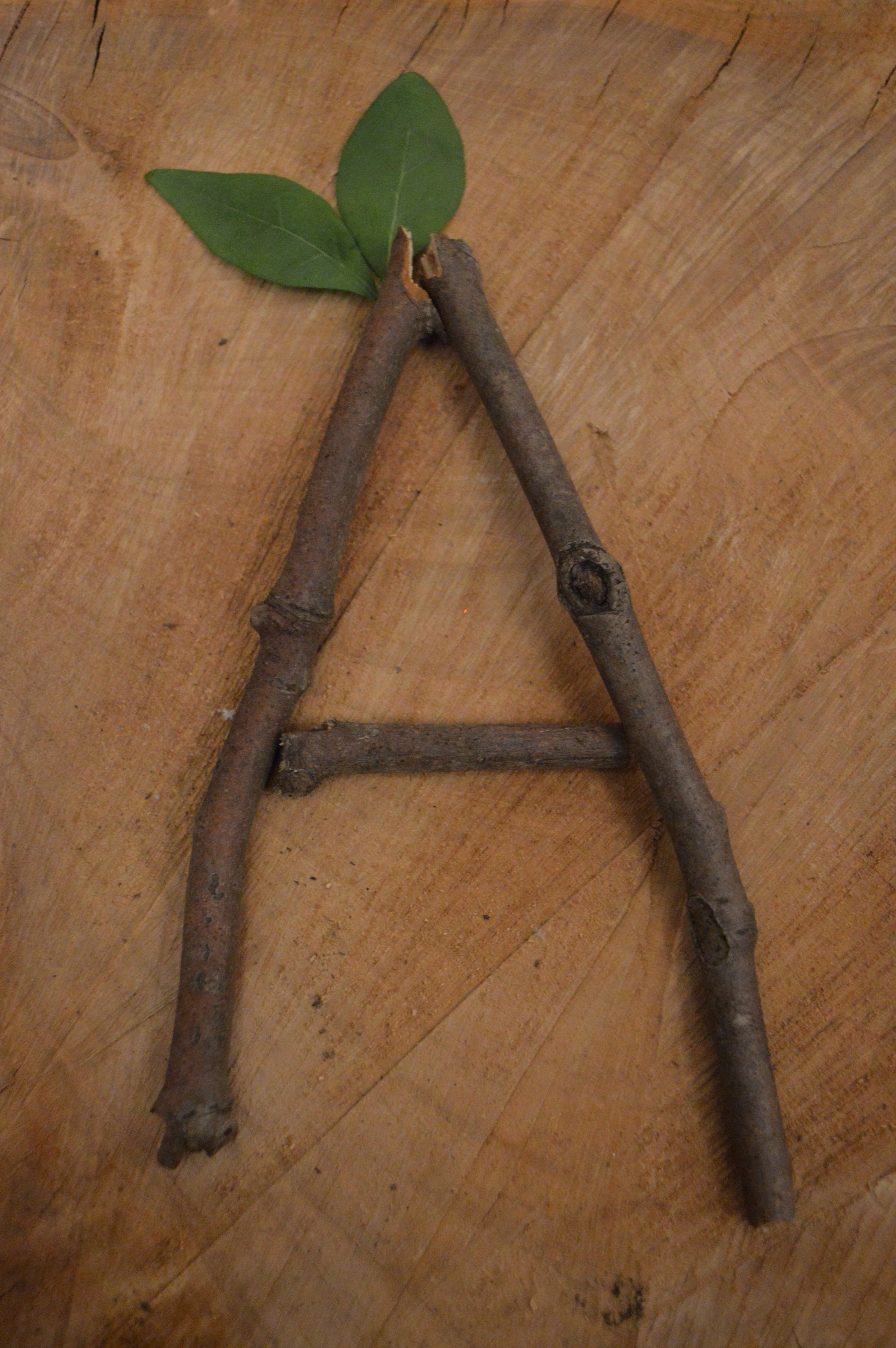 Woodland Inspired Capital Letters A to Z Instant Download Natural ...