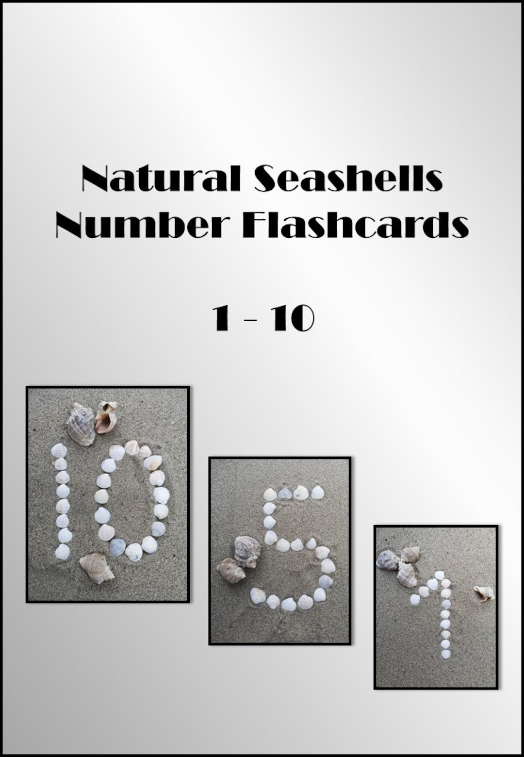 SEA SHELLS Number Cards - Etsy