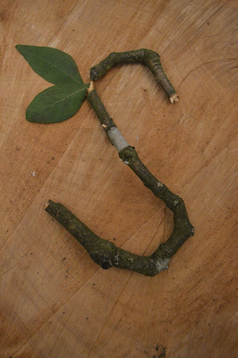 Woodland Inspired Capital Letters A to Z Instant Download Natural ...