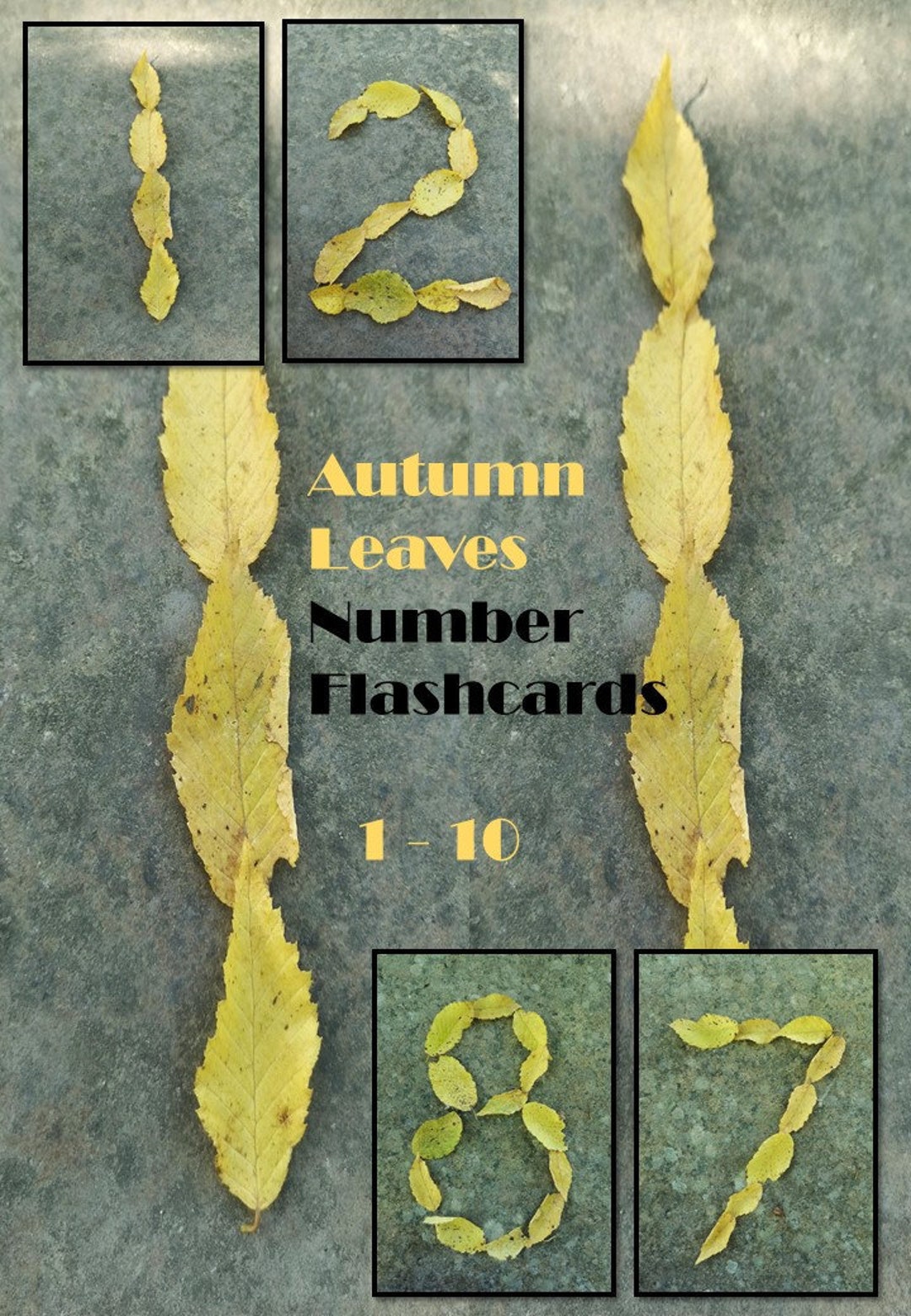 Autumn Yellow Leaves Number Flashcards - Etsy