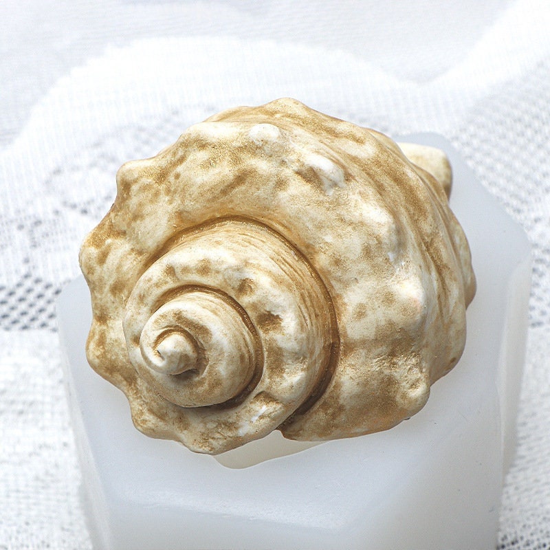 Sea Shell Mold - Etsy
