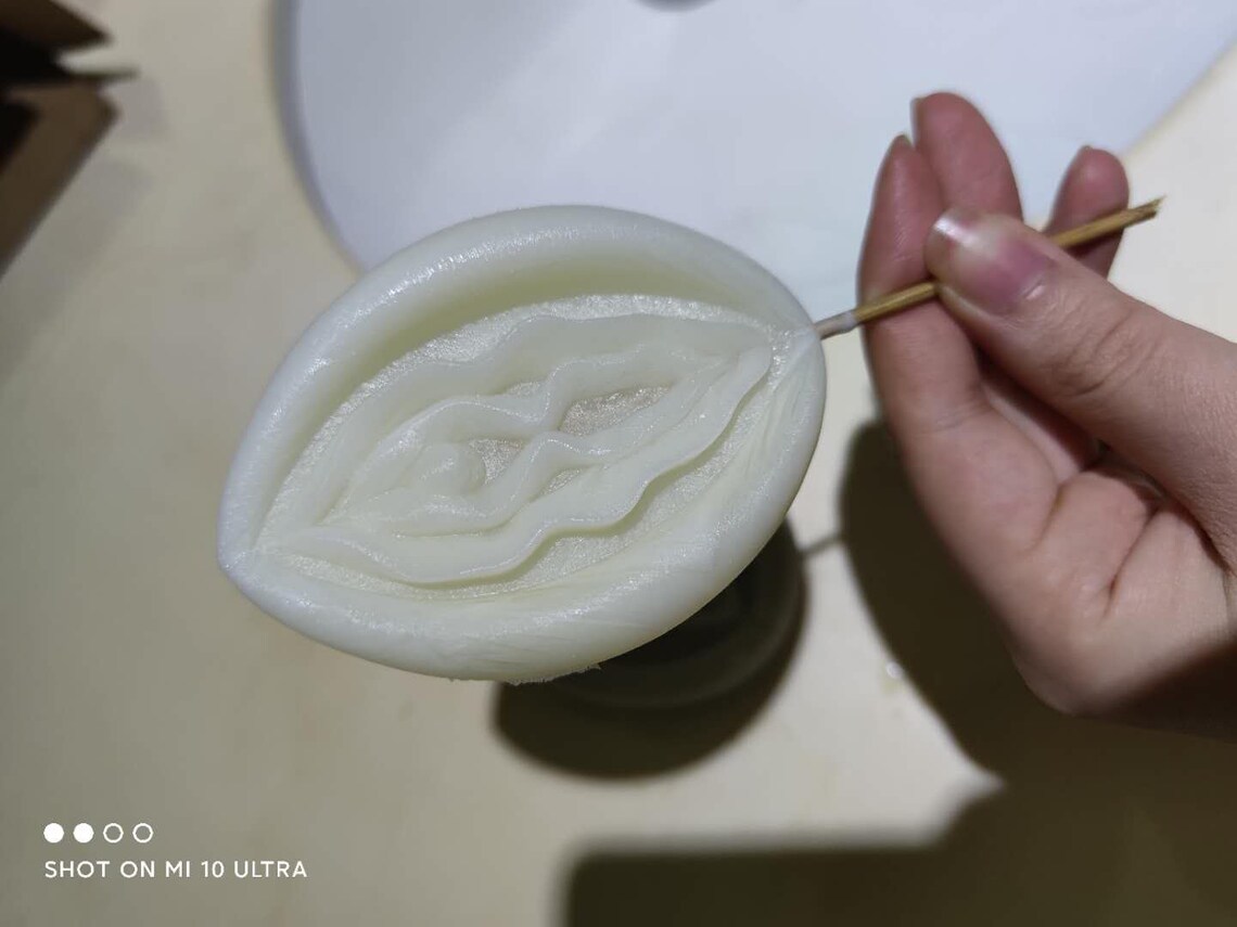 3d Vagina Mold Aldult Sex Mold Art Candle Silicone Mold Etsy Australia