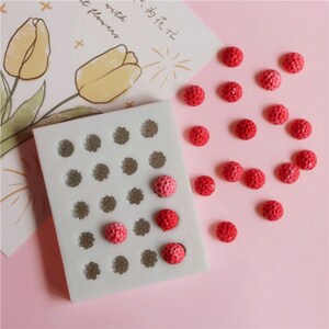 20-cavity Berry Silicone Mold Mini Fruit Strawberry Mold Chocolate ...