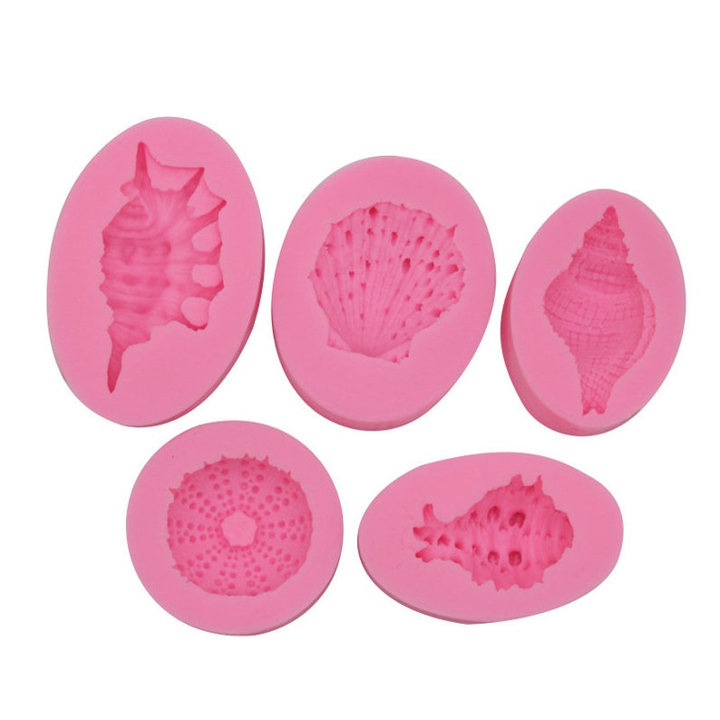 Shell Conch Mold Sea Coral Silicone Mold Sea Urchin Mold Beach - Etsy