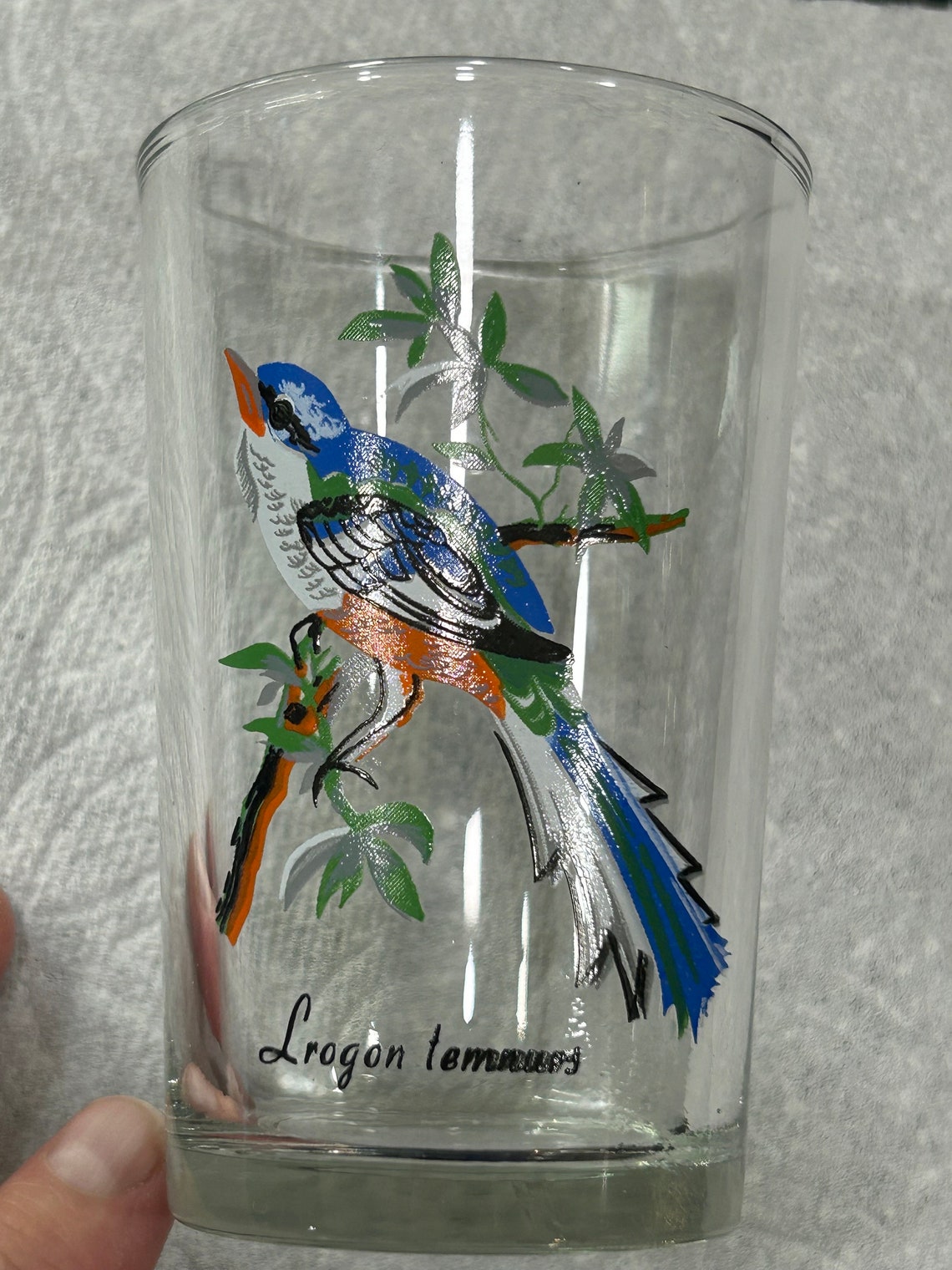 Bird Glassware/four in Set of Glassware With an Exotic Colorful Bird on ...