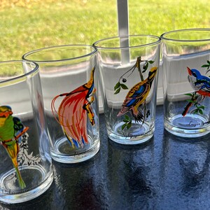 Bird Glassware/four in Set of Glassware With an Exotic Colorful Bird on ...