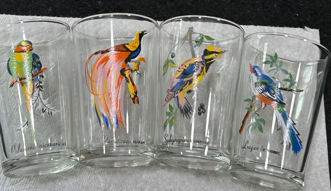 Bird Glassware/four in Set of Glassware With an Exotic Colorful Bird on ...