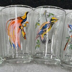Bird Glassware/four in Set of Glassware With an Exotic Colorful Bird on ...