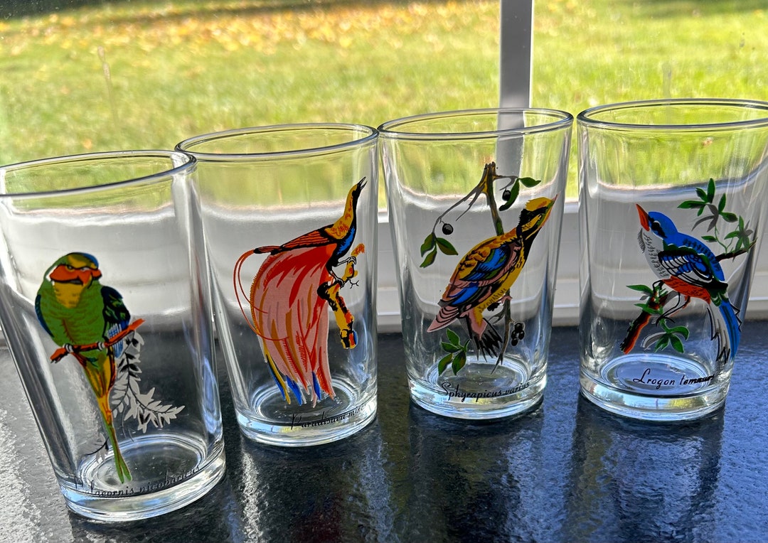 Bird Glassware/four in Set of Glassware With an Exotic Colorful Bird on ...