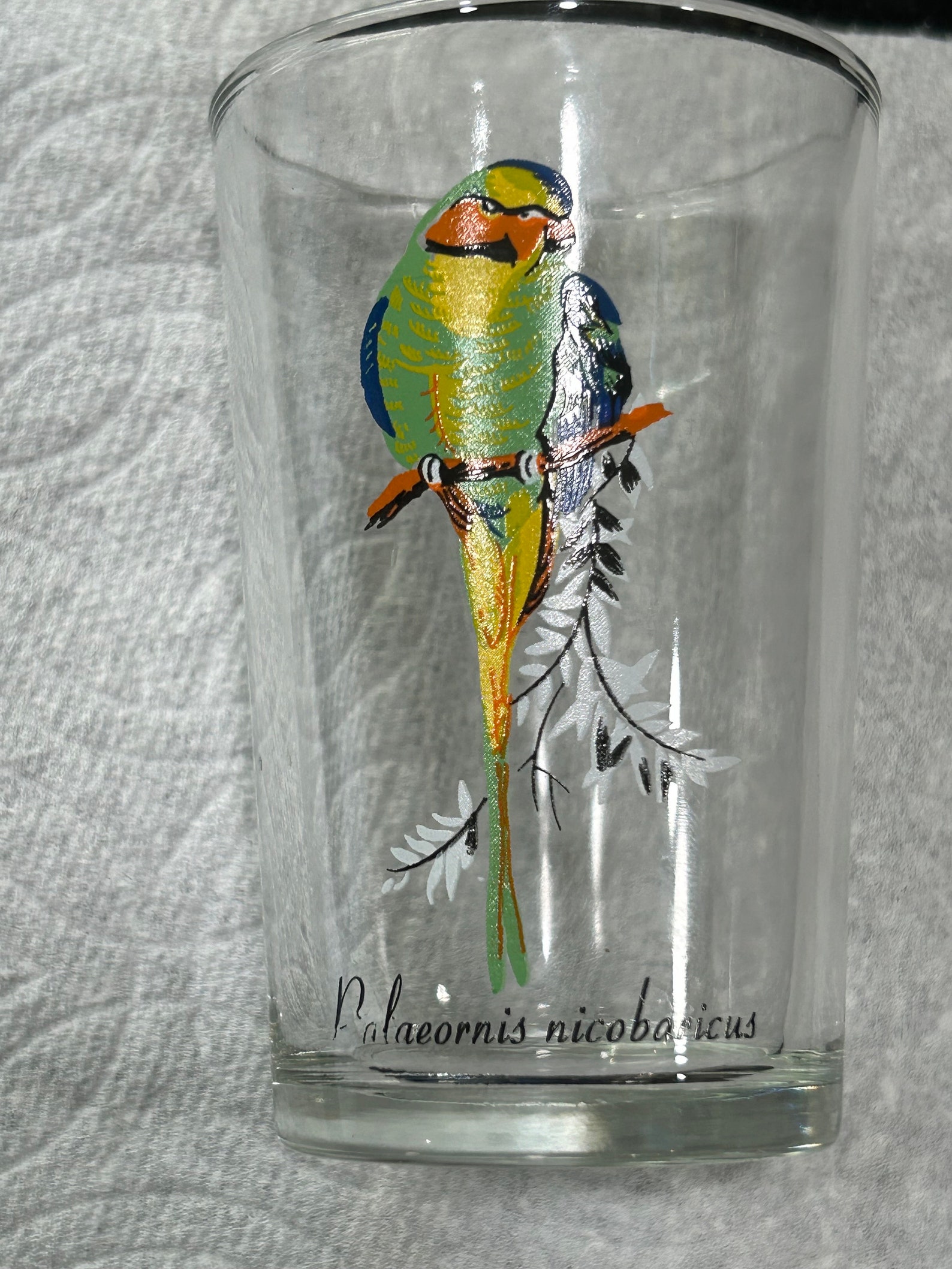 Bird Glassware/four in Set of Glassware With an Exotic Colorful Bird on ...
