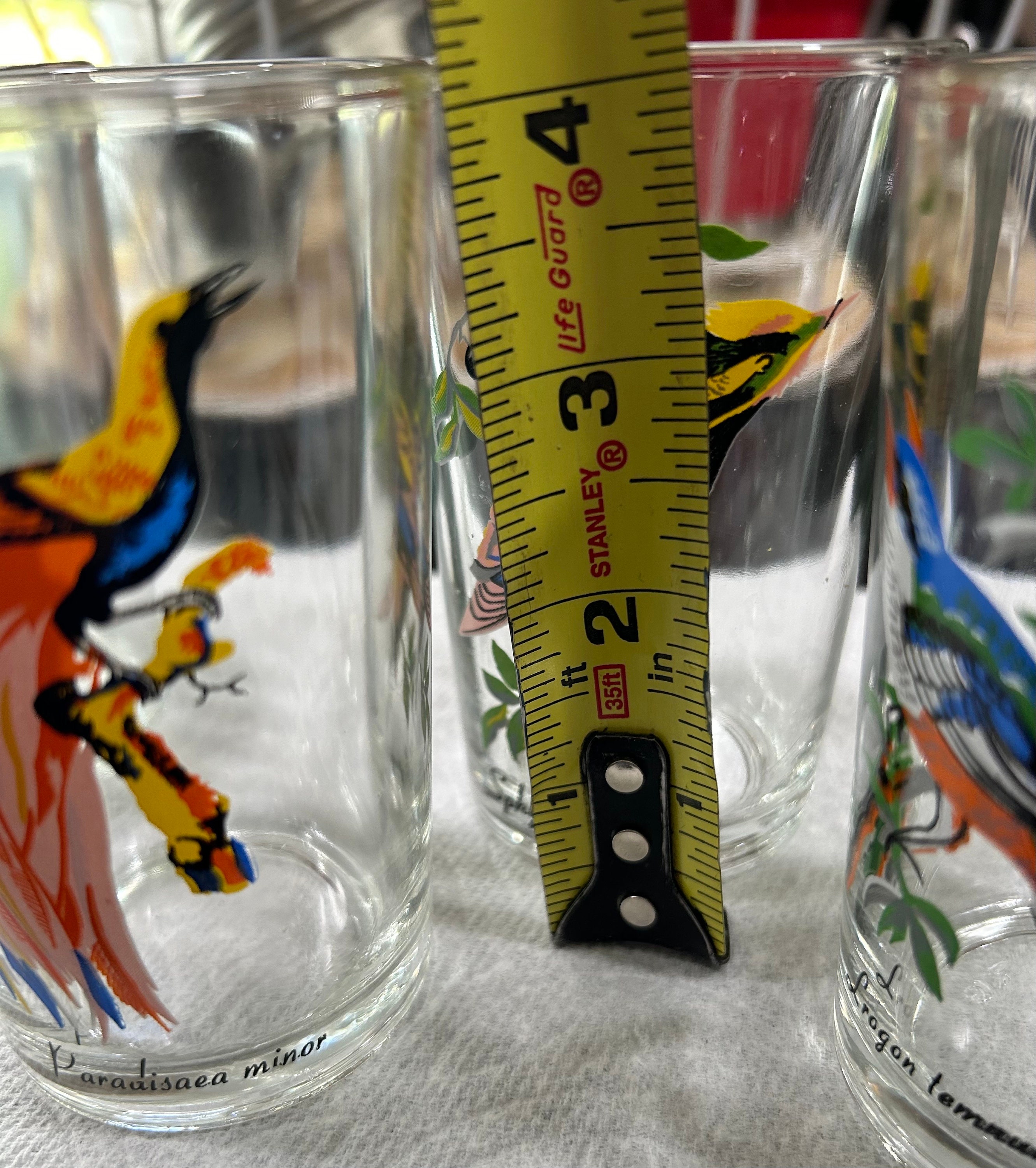Bird Glassware/four in Set of Glassware With an Exotic Colorful Bird on ...
