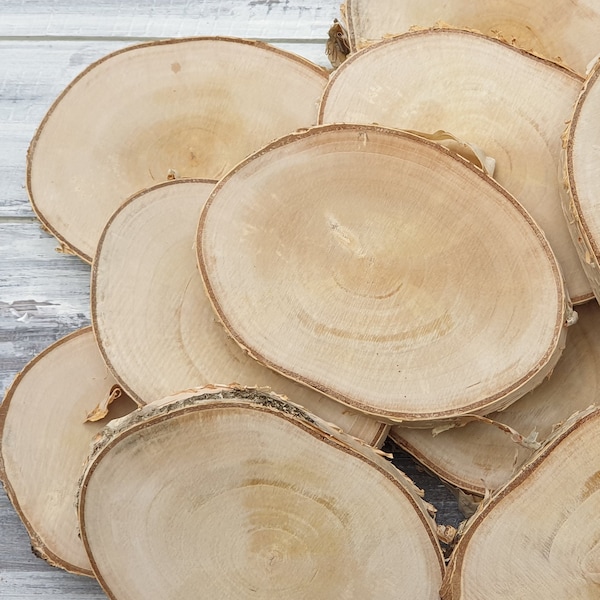 Birch Tree Slice - Etsy
