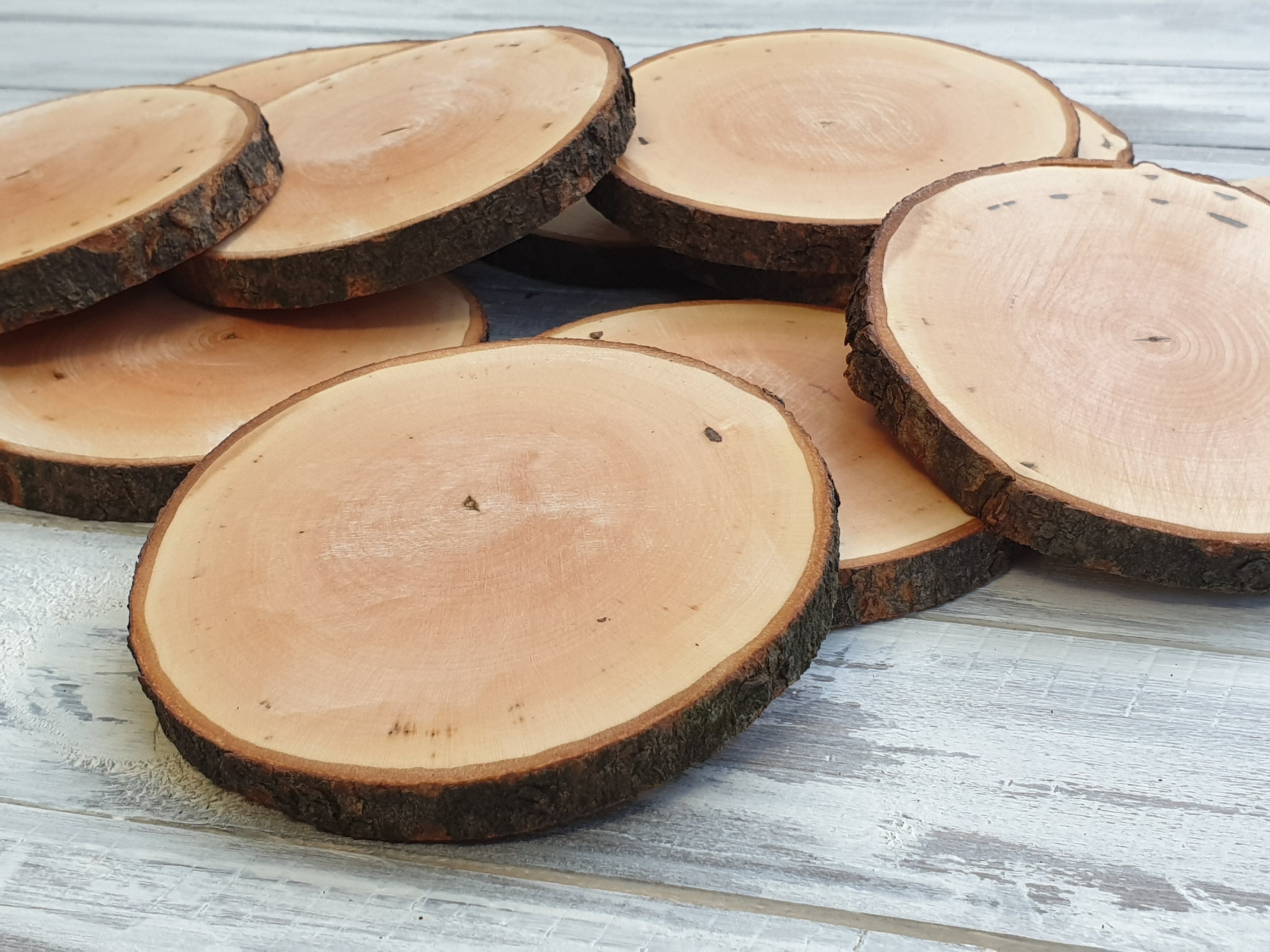 Natural Tree Round Slices, 4"- 4.3" (10.4 - 10.8 Cm) Natural Wood Tree ...