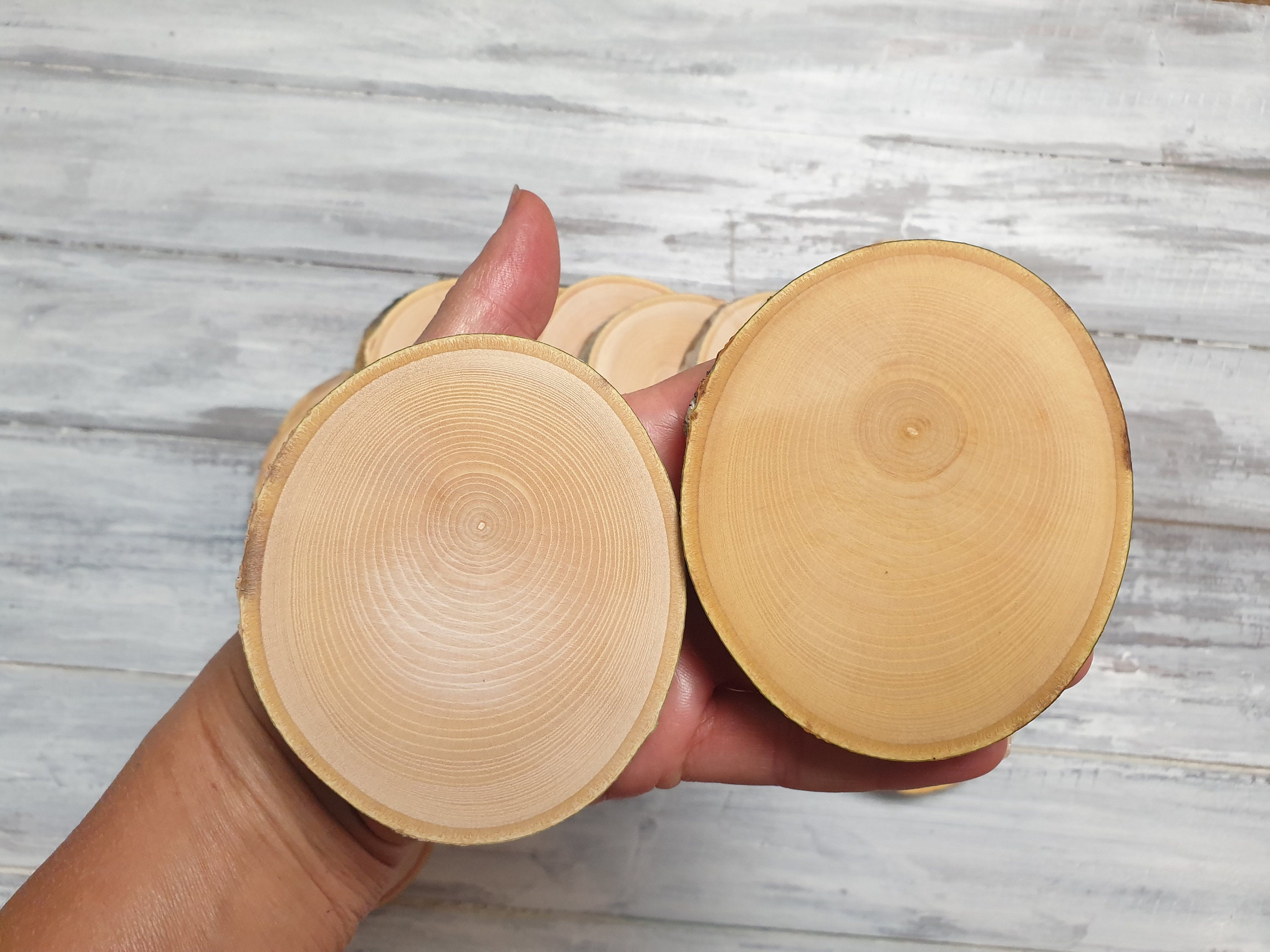 2 or More Natutal Tree Oval Slices OVAL 3.15 3.5 8 - Etsy