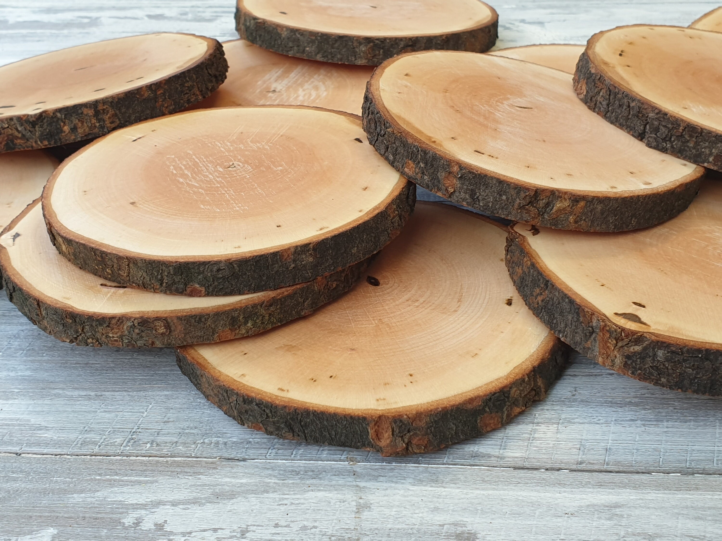 Natural Tree Round Slices, 4"- 4.3" (10.4 - 10.8 Cm) Natural Wood Tree ...