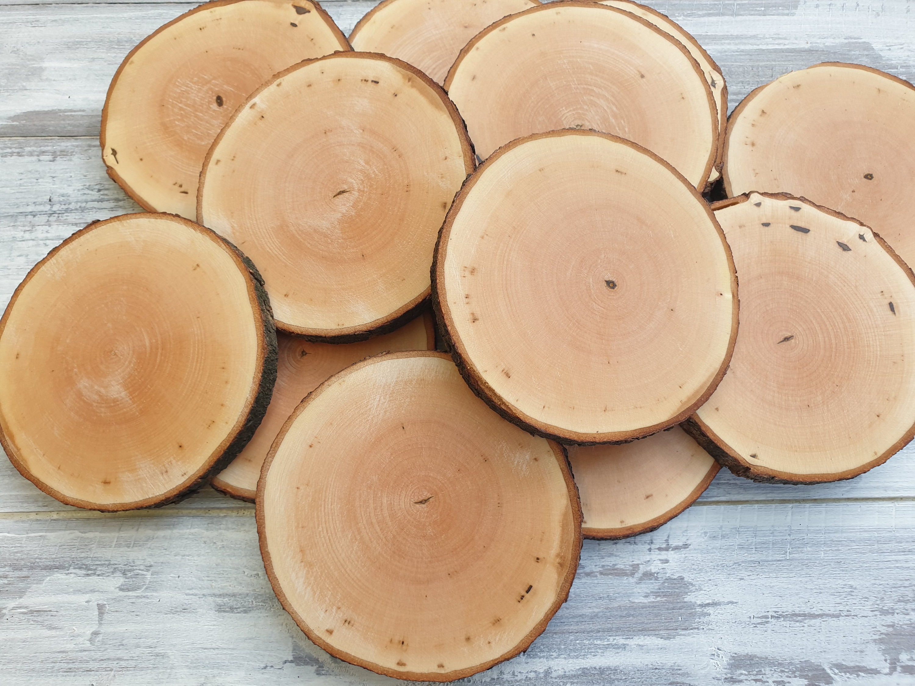 Natural Tree Round Slices, 4"- 4.3" (10.4 - 10.8 Cm) Natural Wood Tree ...