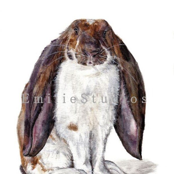 Rabbit Watercolor - Etsy